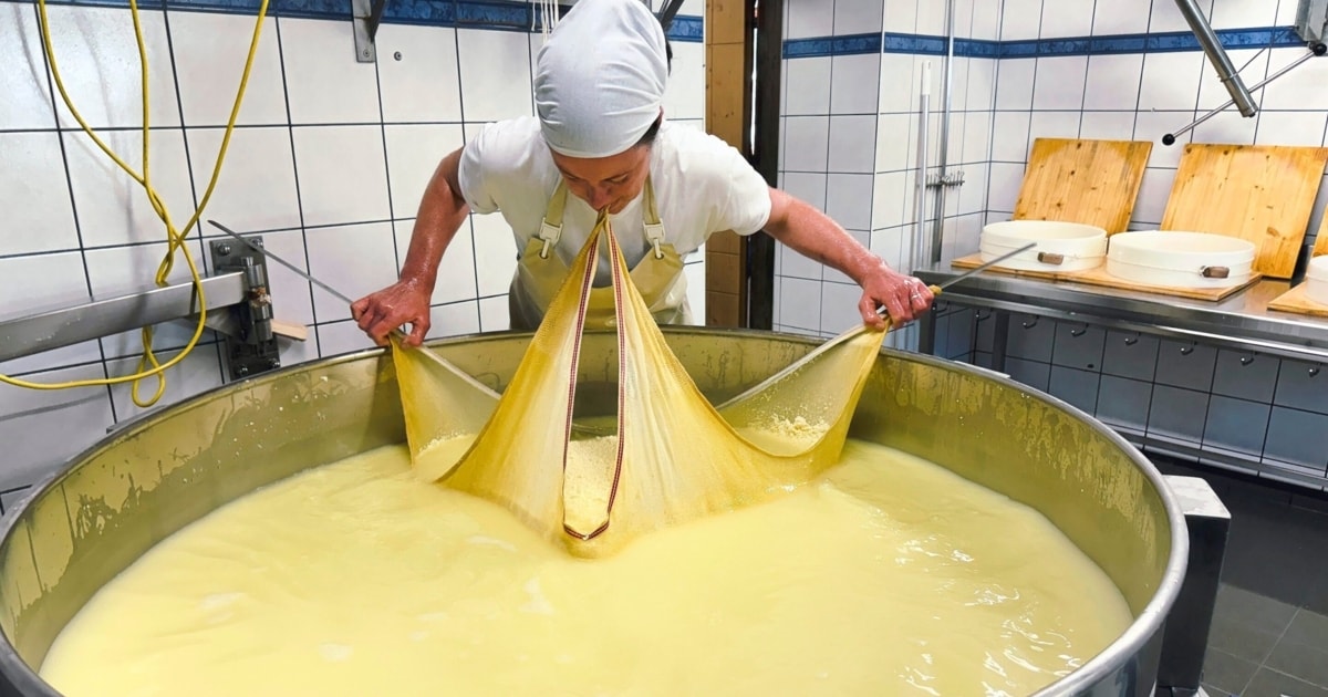 "Bergkrone" in the Gailtal valley - Alpine dairymaid reveals how alpine ...