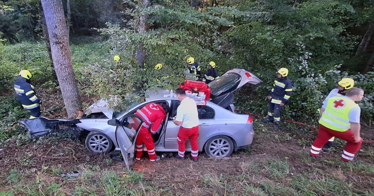 Auto kracht in Baum - Reh ausgewichen: Zwei Schwerverletzte bei Unfall | krone.at