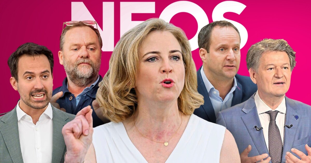 The "Krone" special - A former newcomer on the government bench? | krone.at
