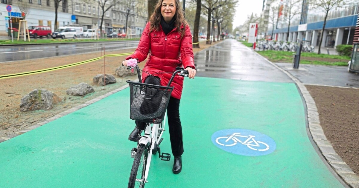 Dangerous - Many pedestrian traps await on the mega cycle highway ...