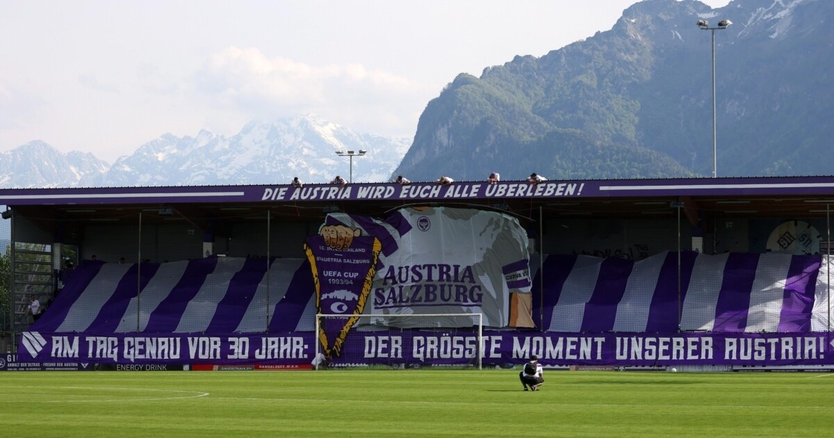 Treffen stehen an - Austria Salzburg trifft Entscheidung für 2. Liga ...