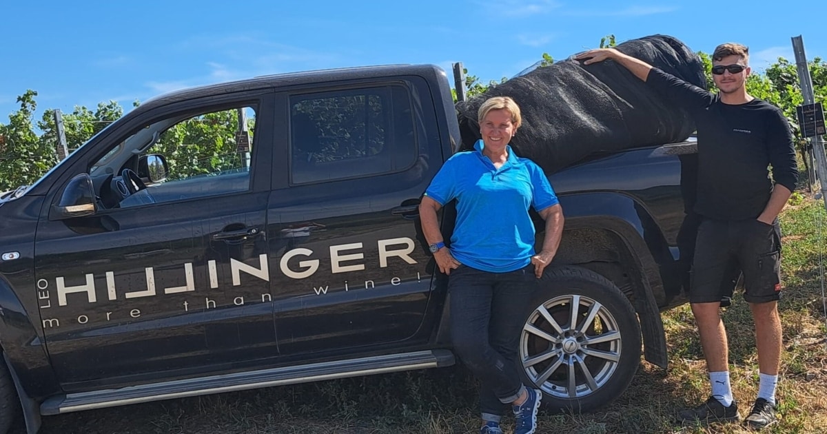 Netze vom Star-Winzer - Profi Leo Hillinger hilft Kärntner Weinbauern ...