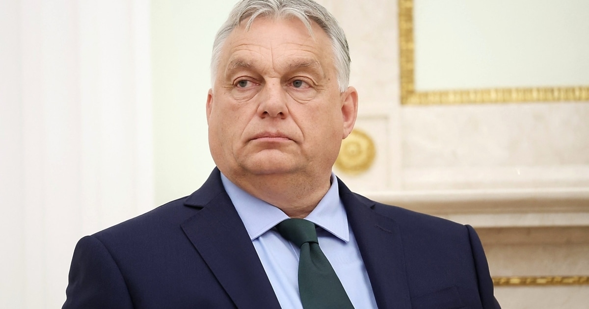 Brisanter Bericht: - Geldtransporter auf Anweisung Orbáns beschlagnahmt ...