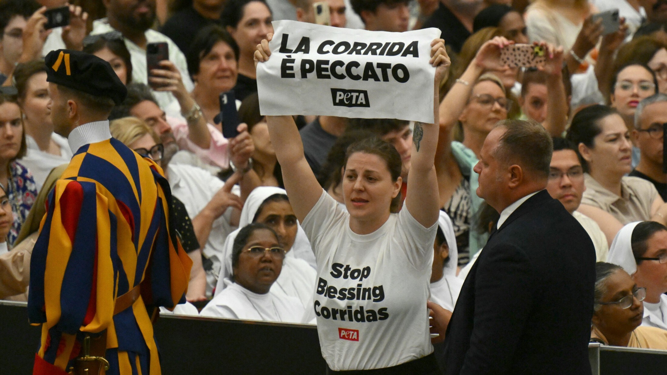 Bullfighting protest - “Sin”: activists disrupt papal audience at the ...