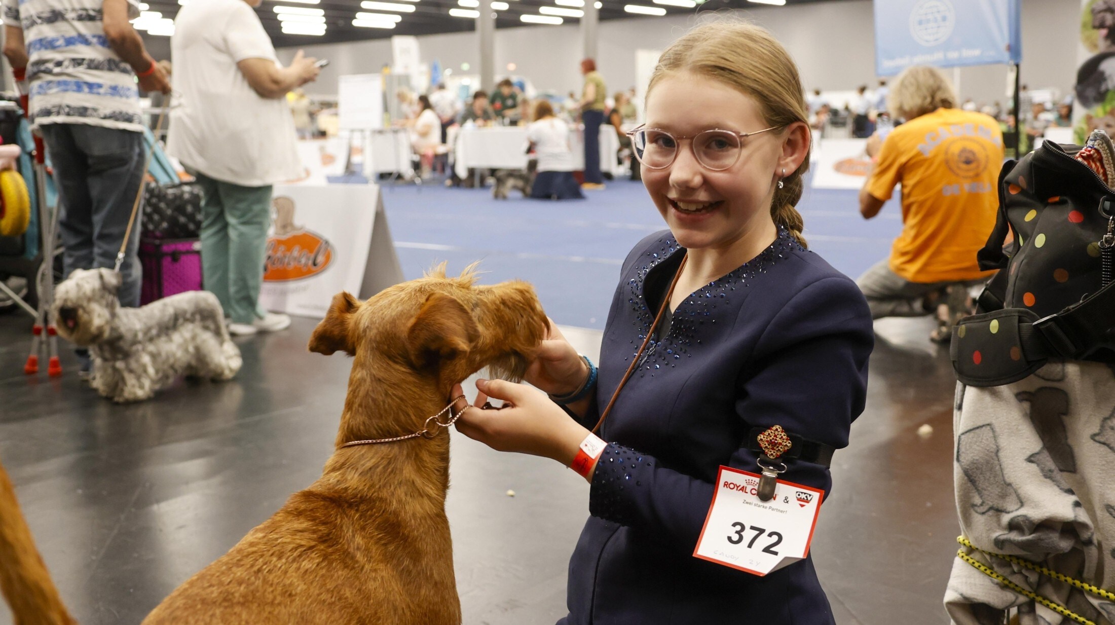 Bei Rassehunde-Schau - Diese Vierbeiner machen die Messe zum Laufsteg ...