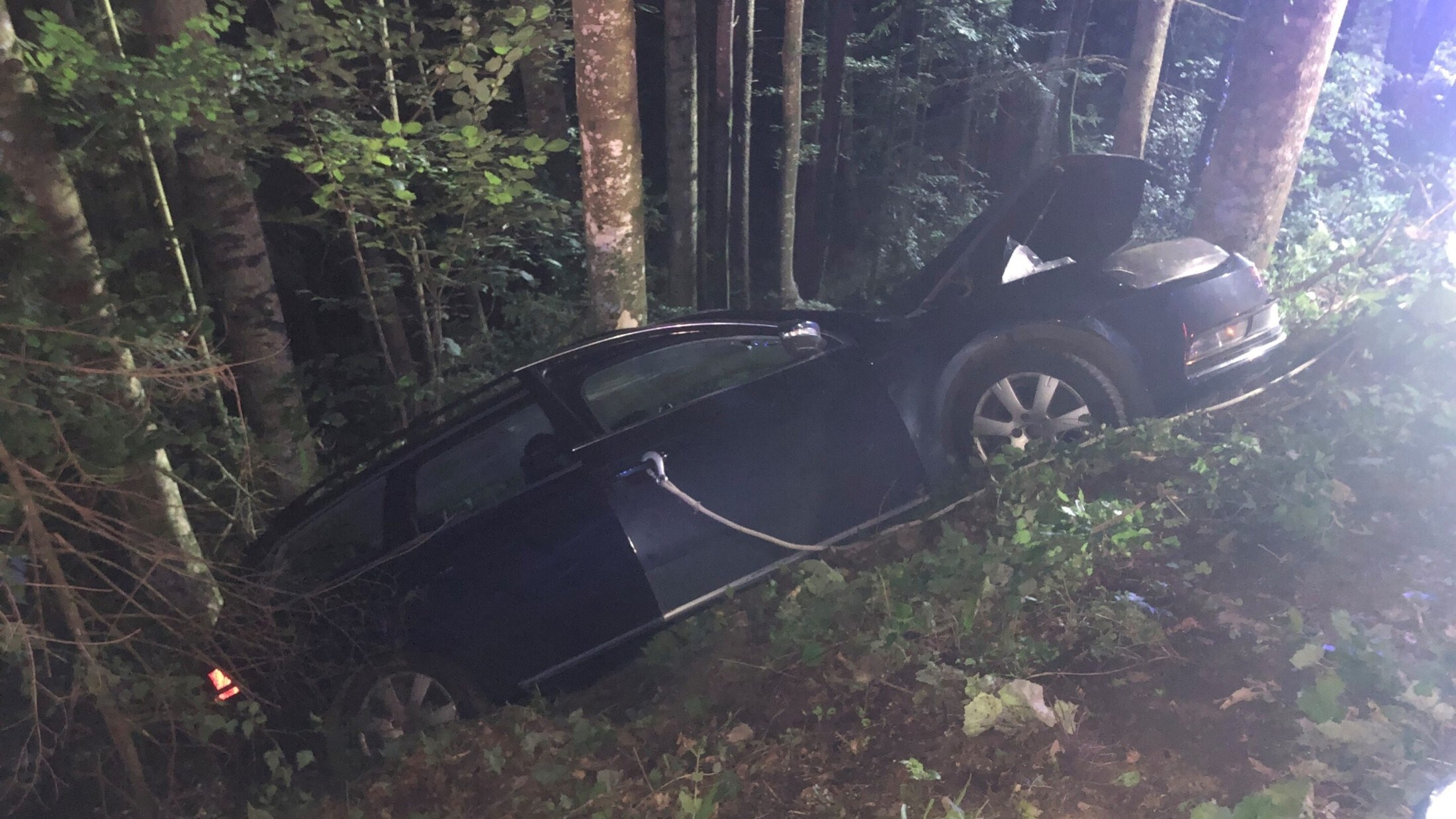 Beifahrer im Spital - Mit Pkw gegen Baum: Lenker war sofort tot | krone.at