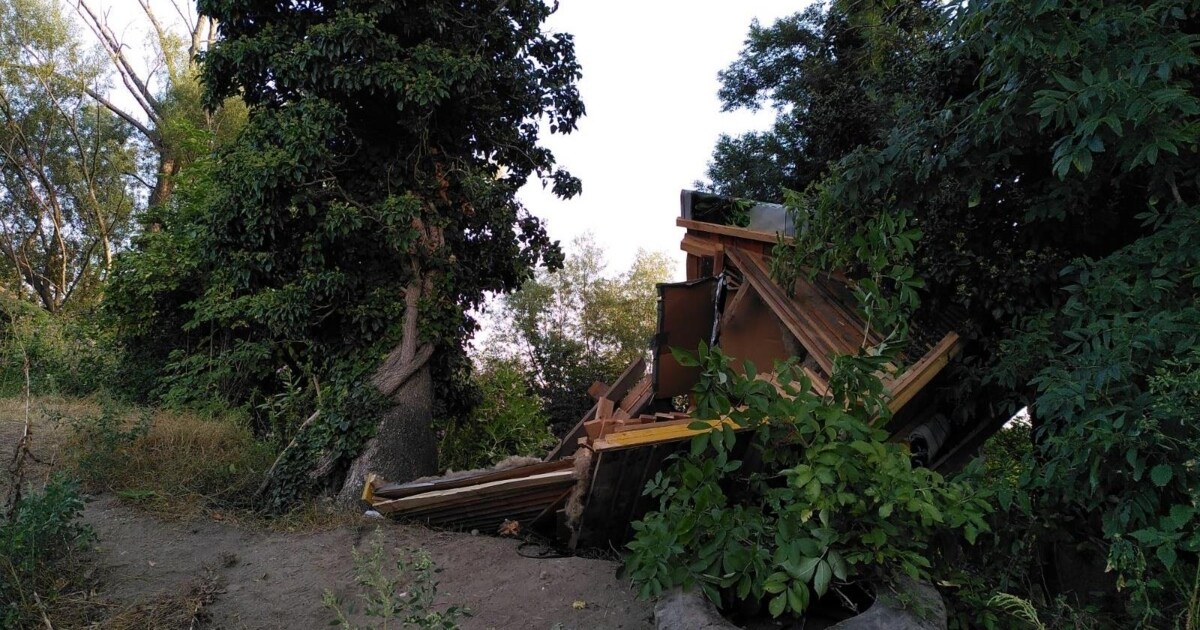 Tree house demolished - Protest camp against the eastern bypass was ...