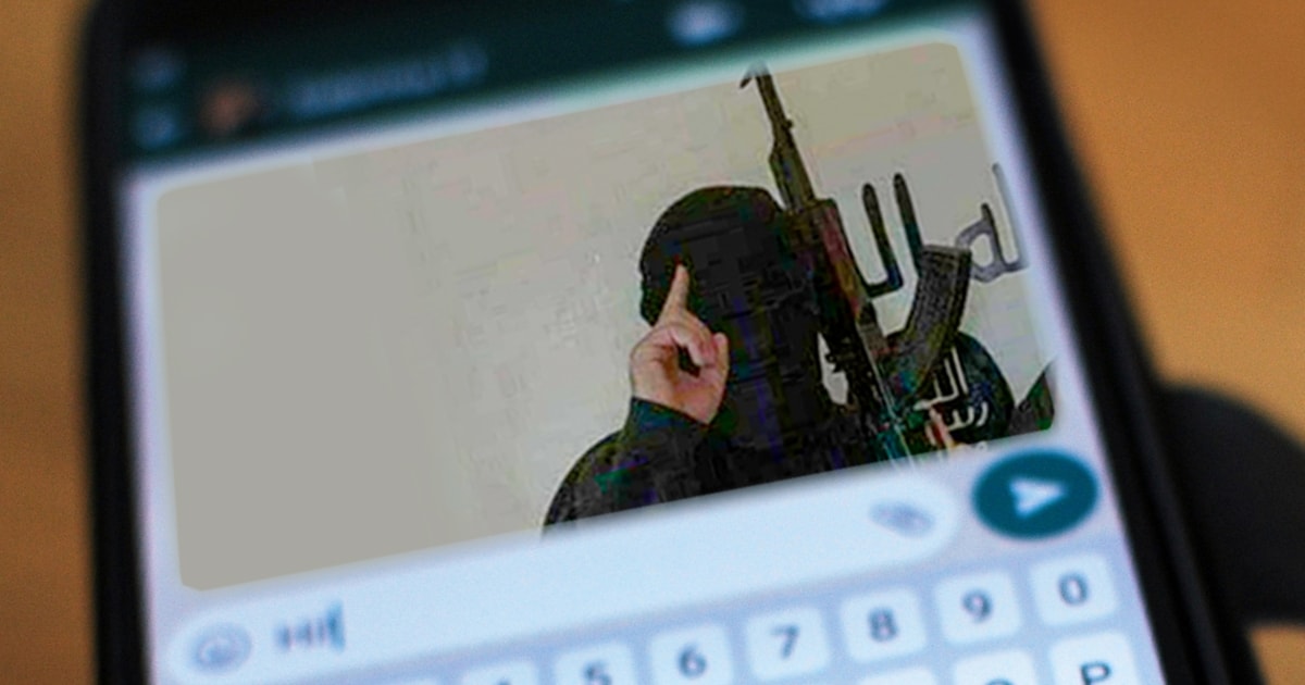 Terror investigation in Lower Austria - IS “internet warriors” at large ...