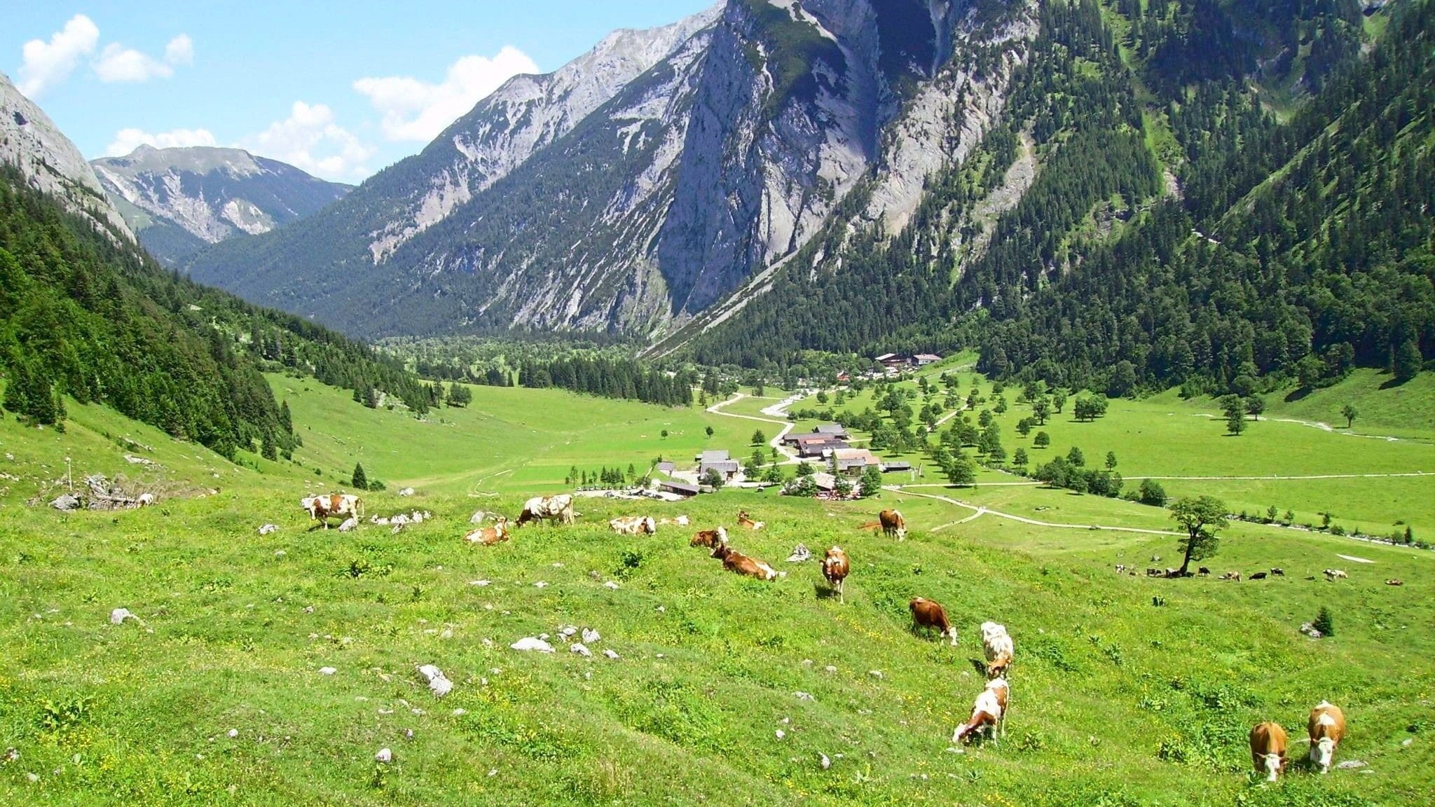 Sunday Almkirchtag - New momentum returns to Eng Alm in the Karwendel ...