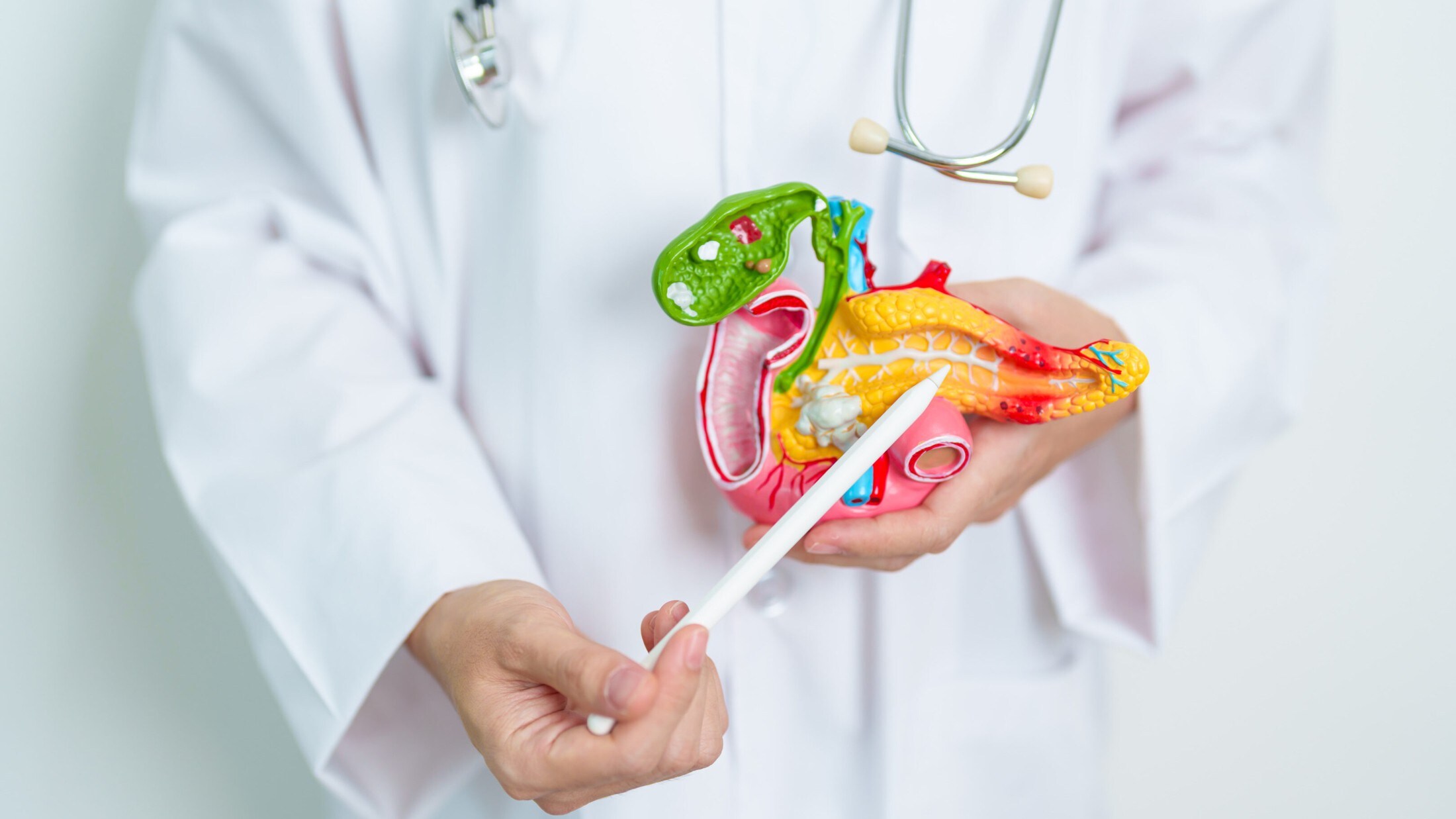 A reader asks: - Can you notice an inflamed pancreas? | krone.at