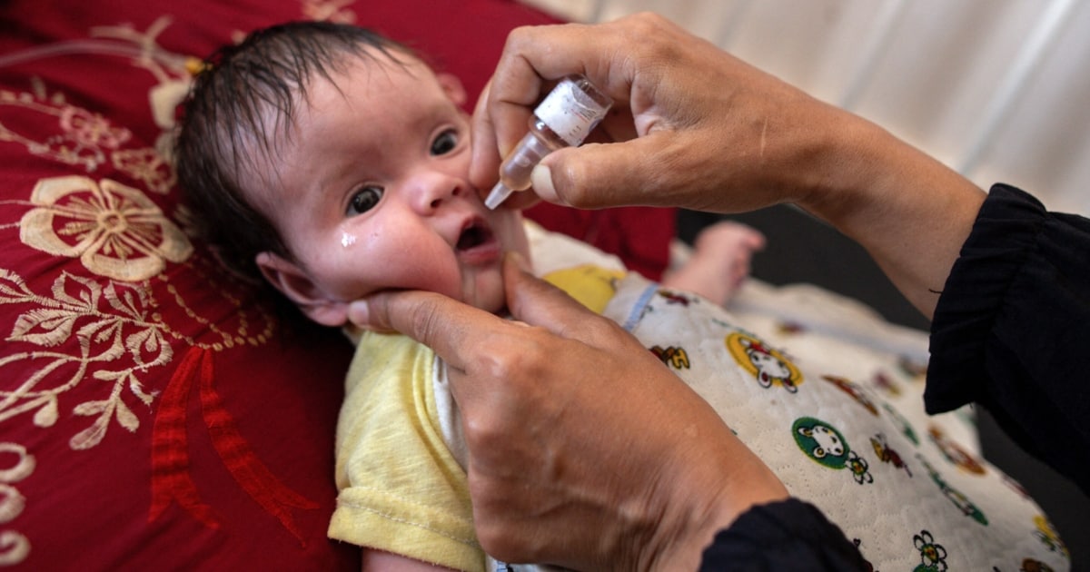 Start on Sunday - Polio vaccinations for 640,000 children in the Gaza ...
