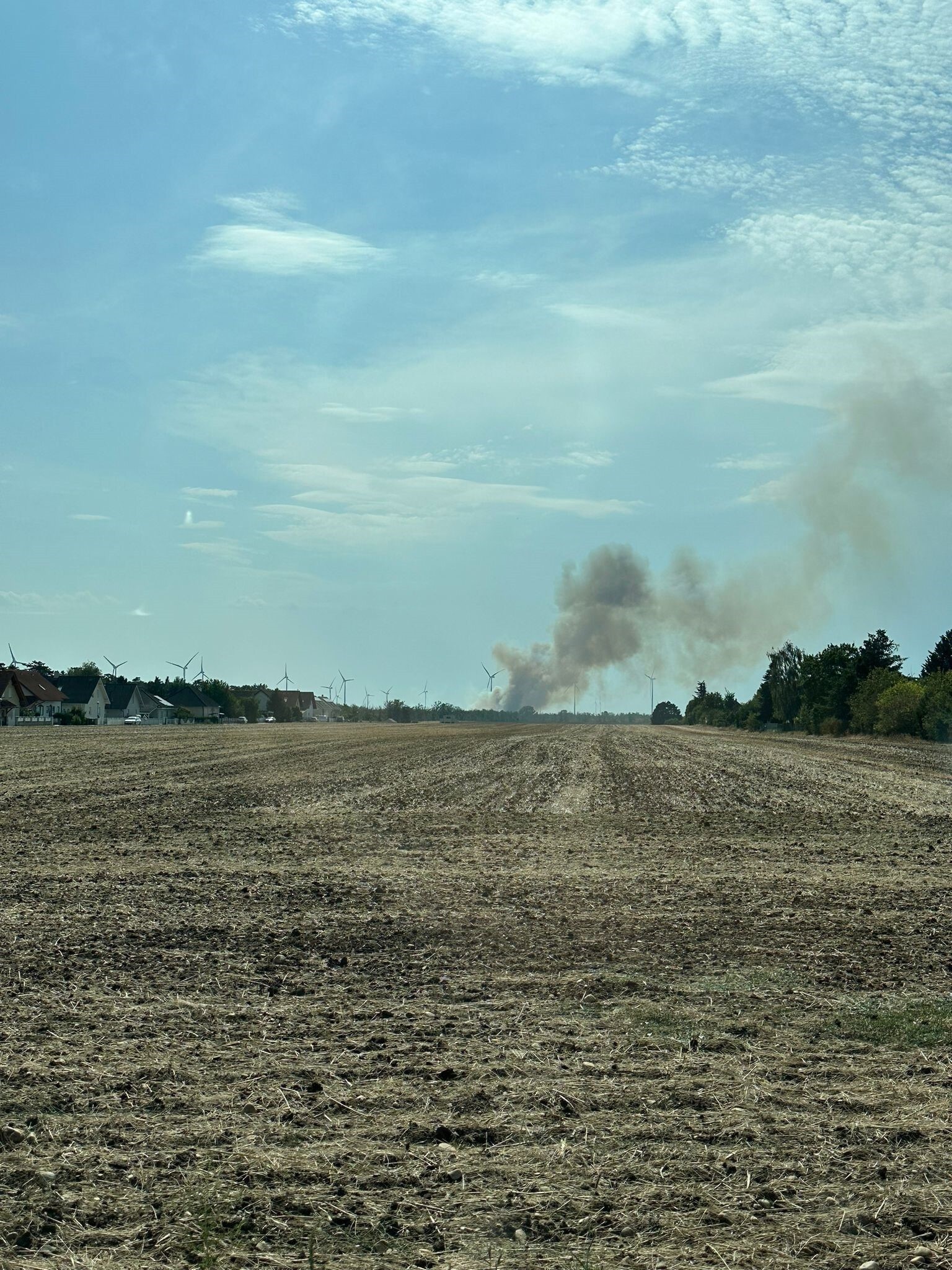 100 hectares affected - Forest fire in Lower Austria: numerous houses ...