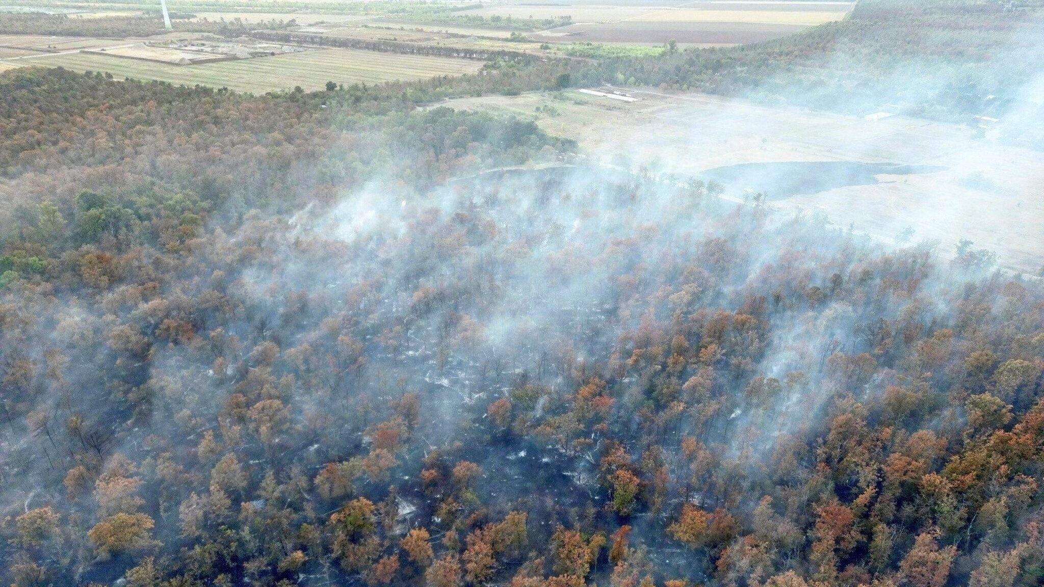 Difficult operation - Forest fire in Lower Austria: extinguishing work ...