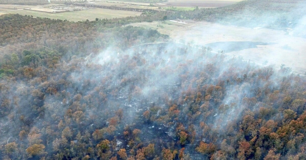 Difficult operation - Forest fire in Lower Austria: extinguishing work ...