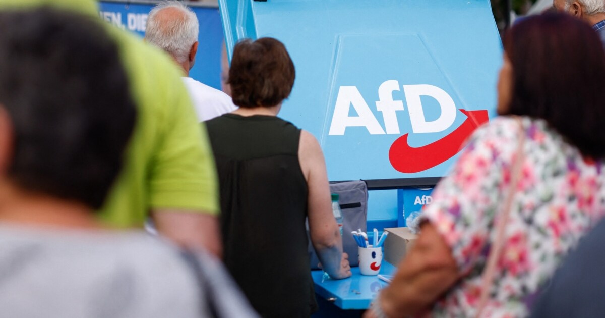 Aufregung um Video - AfD-Mann fliegt nach Waffen-Auftritt aus Partei ...
