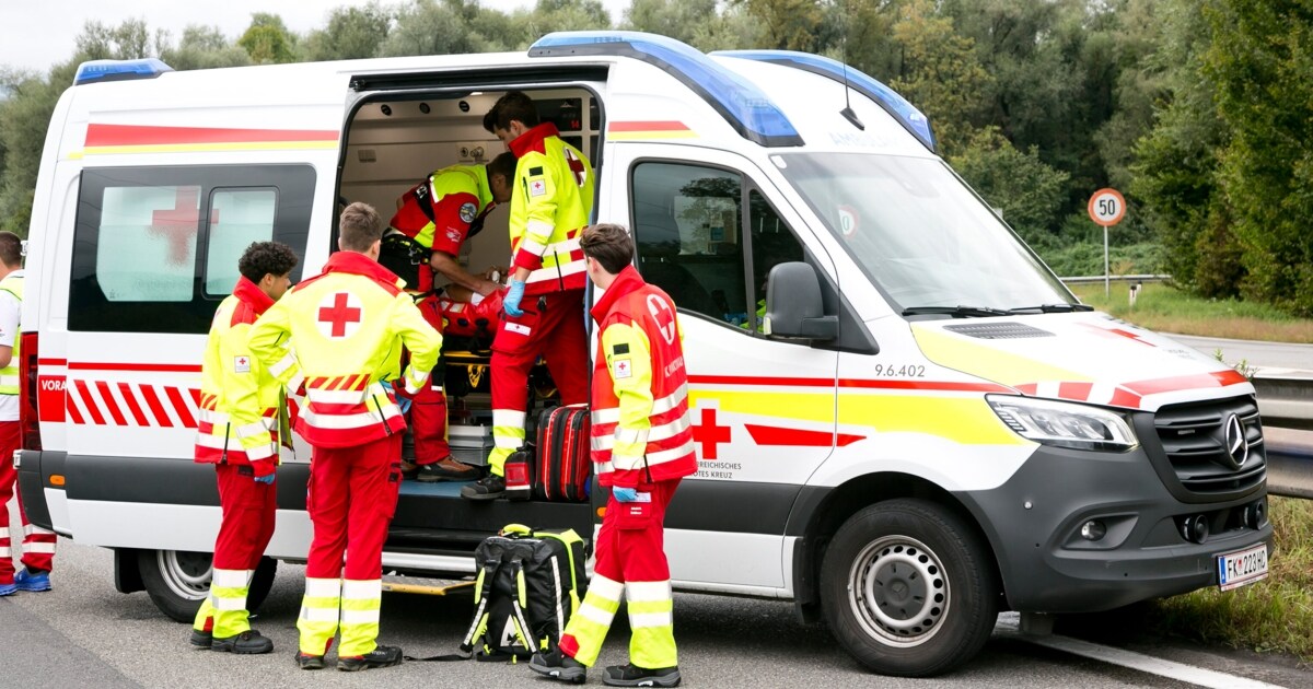 Forestry accident in Upper Austria - Farmer fell from a ladder from a ...