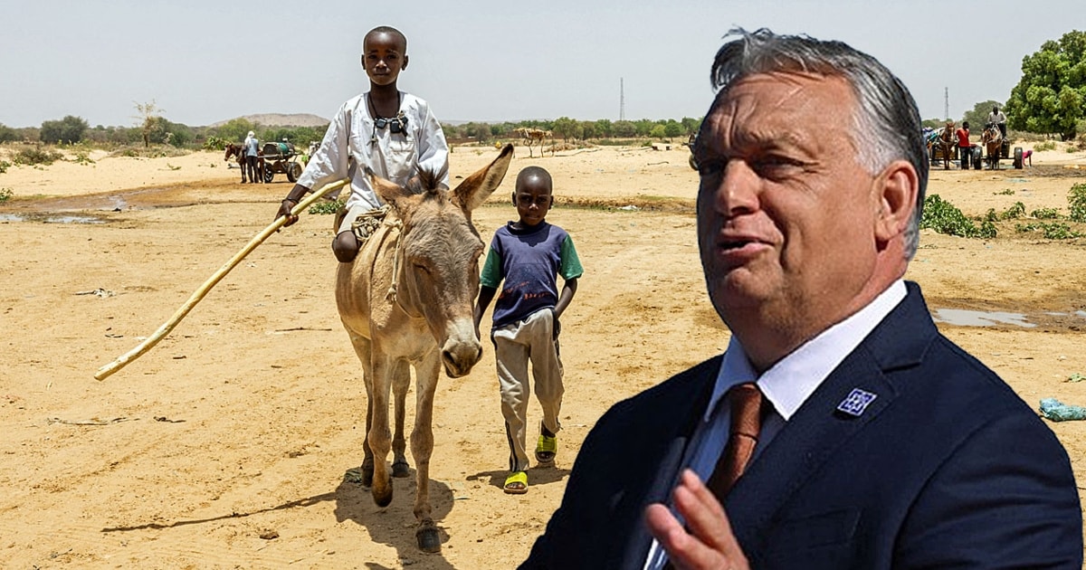 Fight against migration - Orbán pushes for Hungarian soldiers in Chad ...
