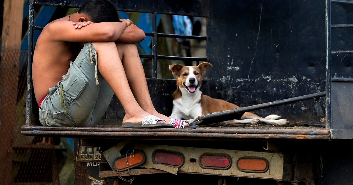 Republican campaign: - Warning against migrants who “eat pets” | krone.at