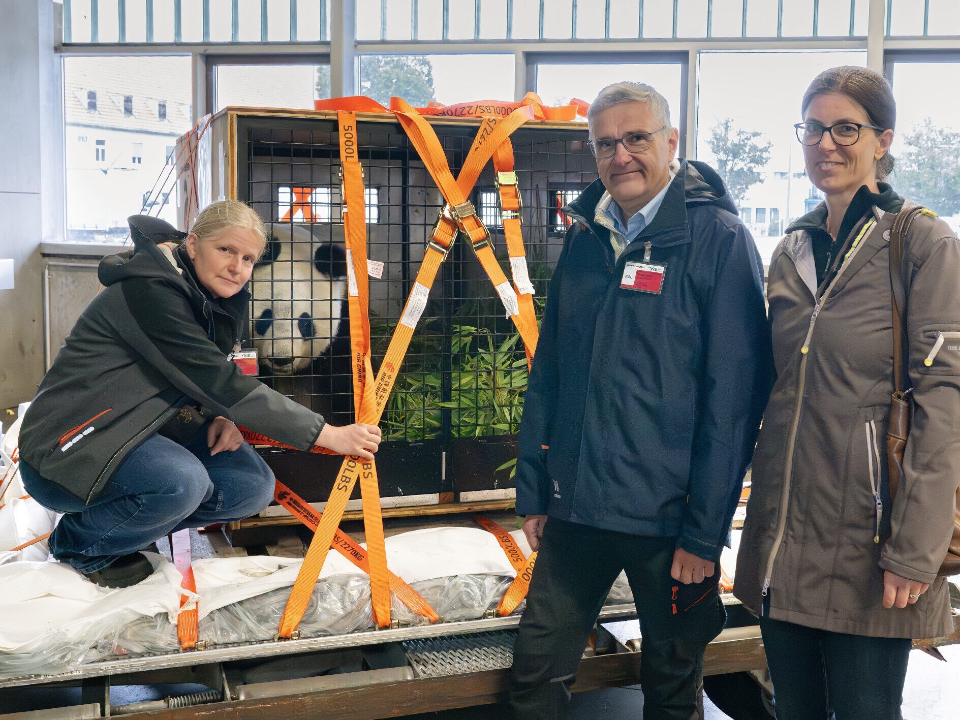 Sad farewell - Vienna Zoo without pandas: for the first time in 20 ...