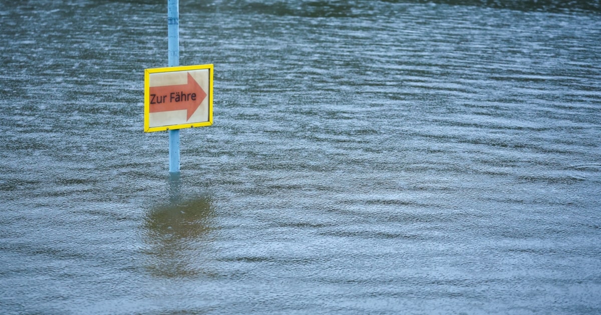 Lack of climate protection - Now there is a mass lawsuit against the ...