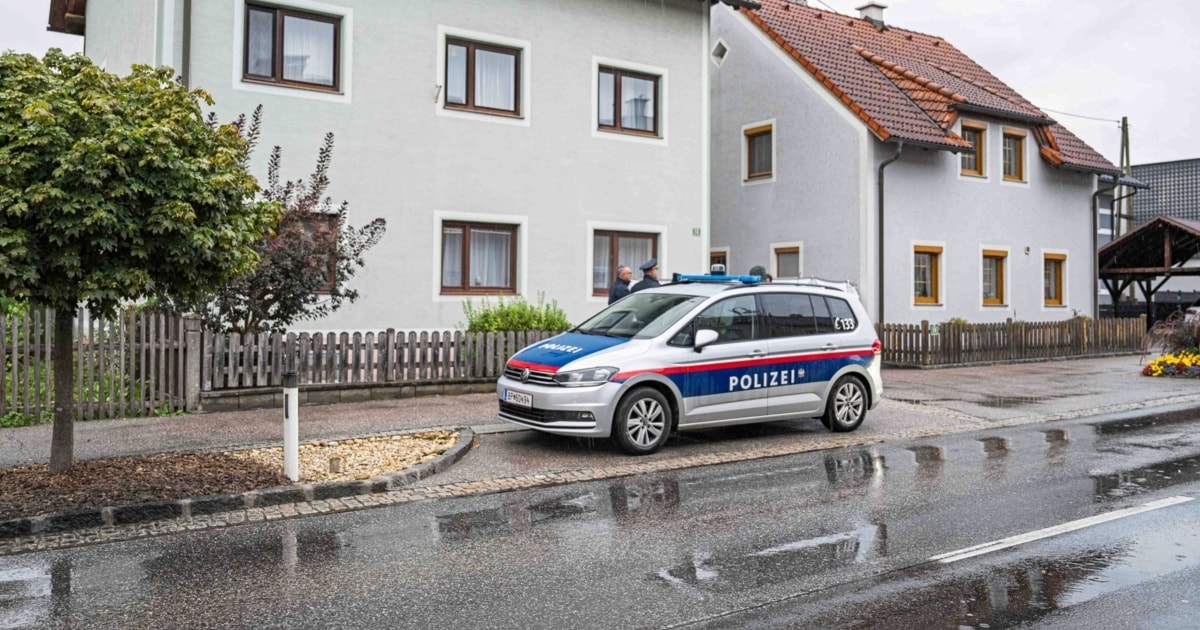 Killed own brother - According to expert opinion: Axe offender (14 ...