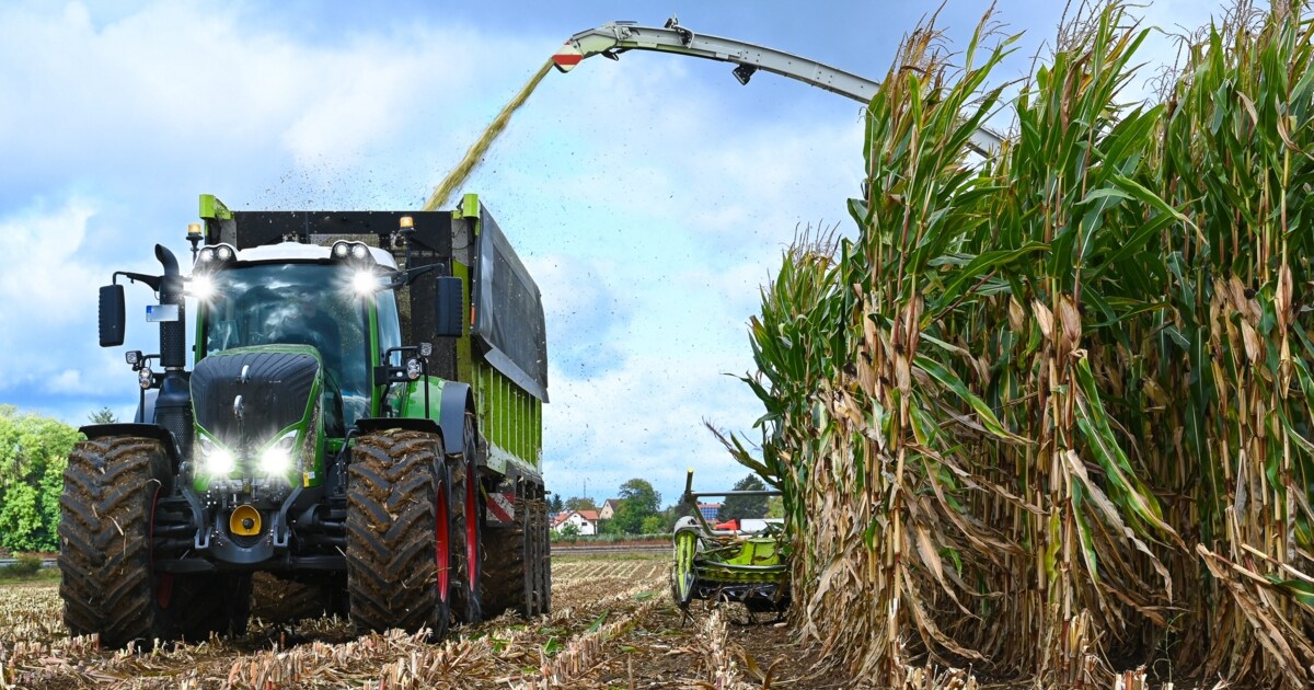 Drama in Bremen - 19-year-old man hit by corn chopper in Bremen | krone.at