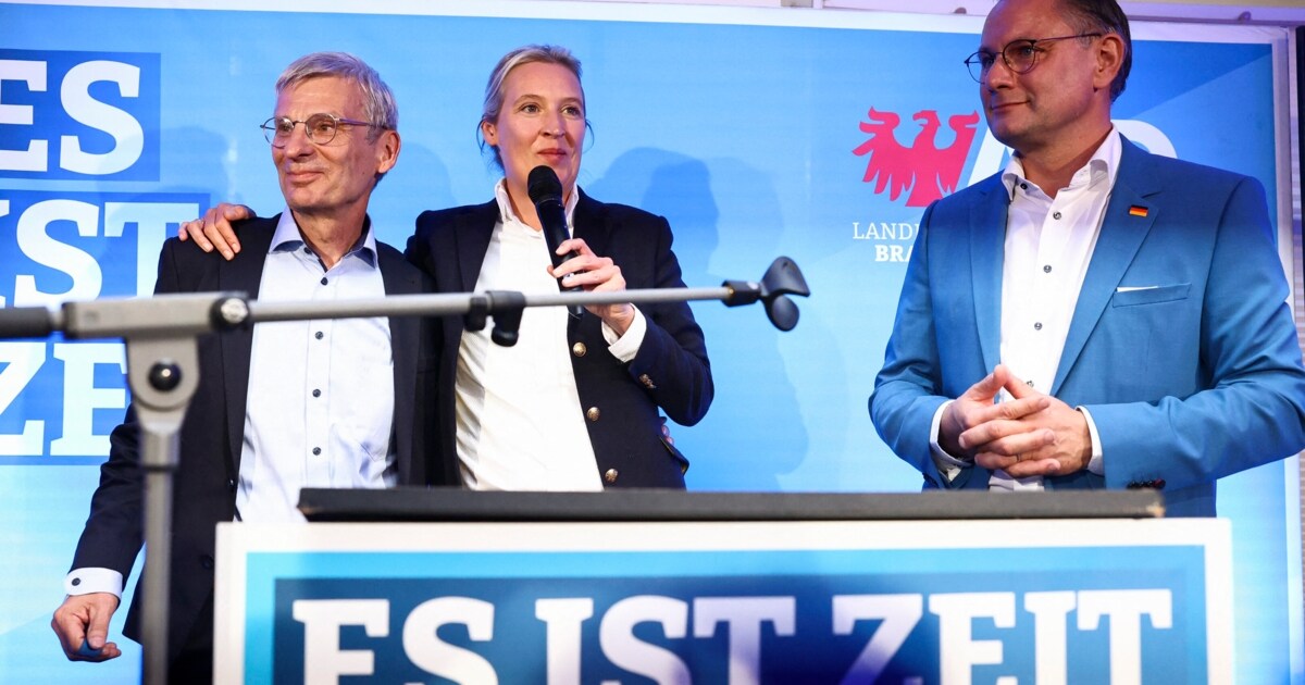Tanzten auf der Straße - AfD-Anhänger singen bei Wahlparty Abschiebe ...