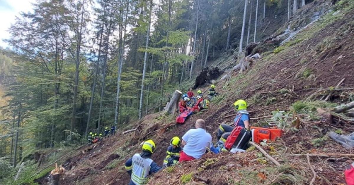 Accident in Mürzsteg - Seriously injured forestry worker rescued from ...