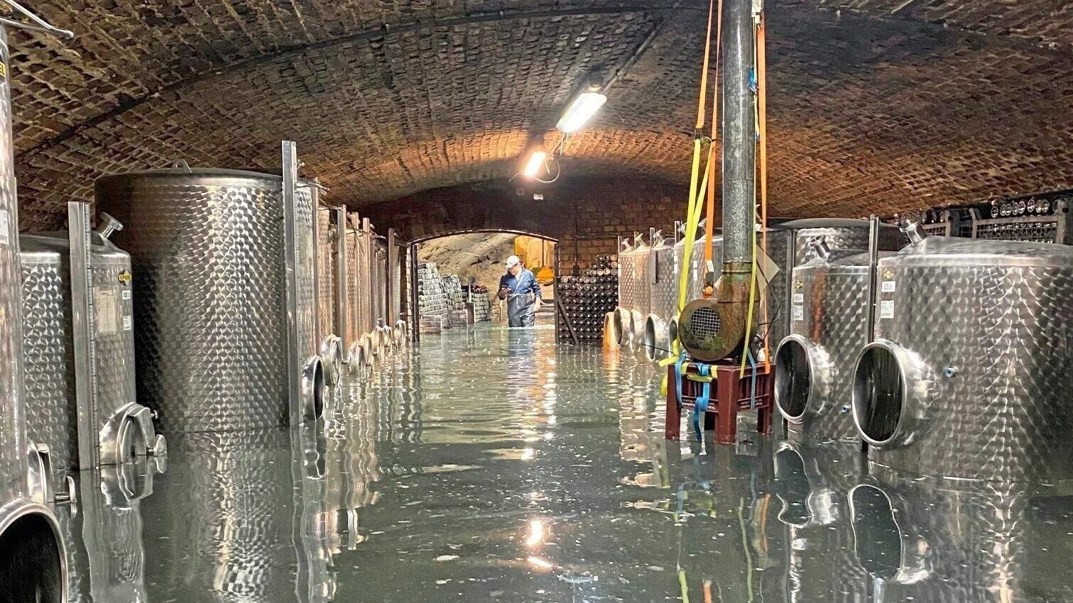 Ein guter Jahrgang - „Gefluteter“ Wein vergor zu besonderem Tröpferl ...