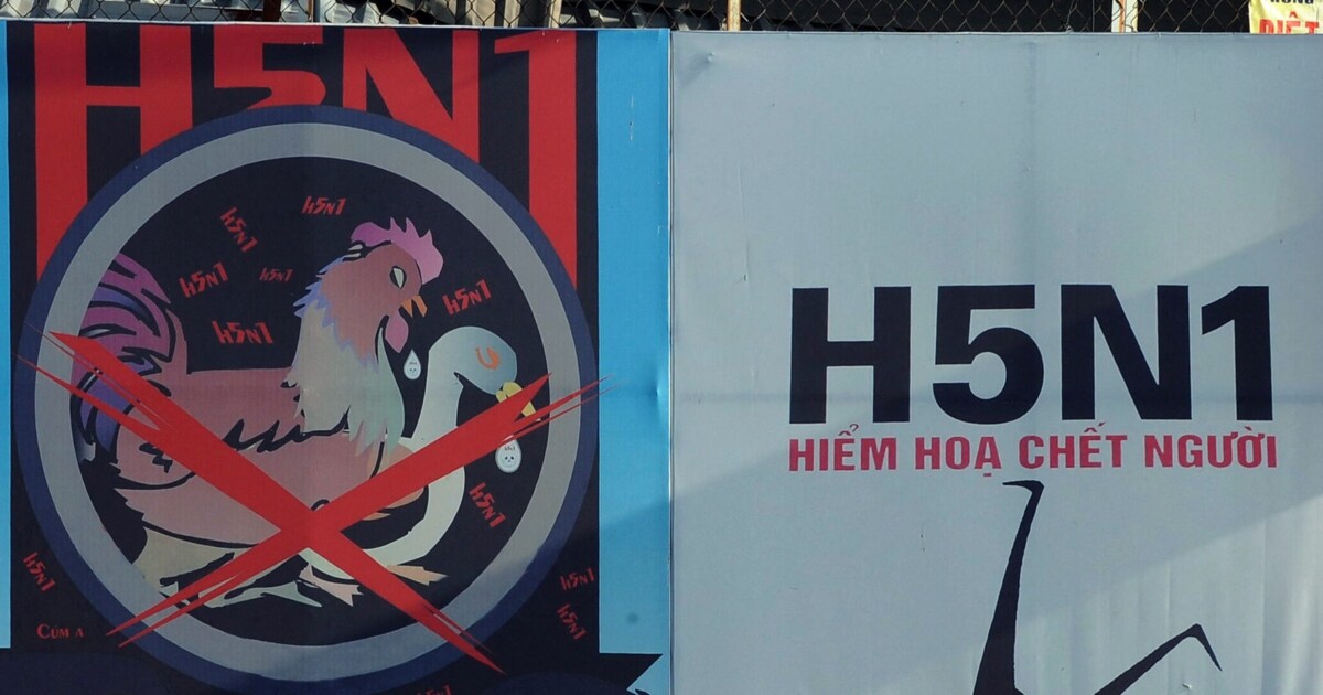 In zoo in Vietnam - Dozens of tigers and lions die of bird flu | krone.at