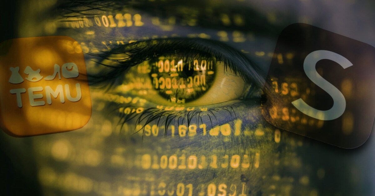 Data protection - How Temu and Shein “limit your rights to the maximum ...