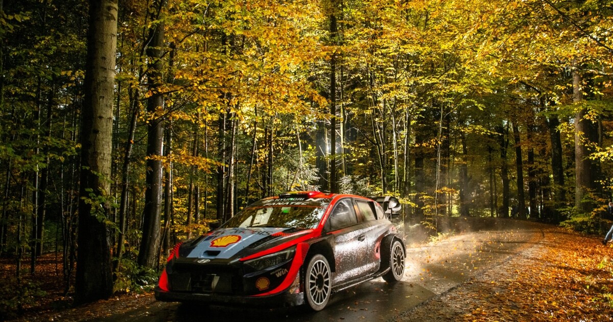 World Rally Championship round - 125,000 spectators arrive: The calm ...