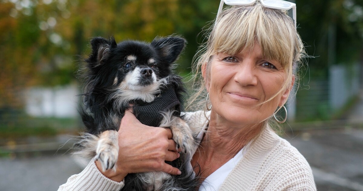 Rude official letter - “The magistrate has declared my dog dead” | krone.at