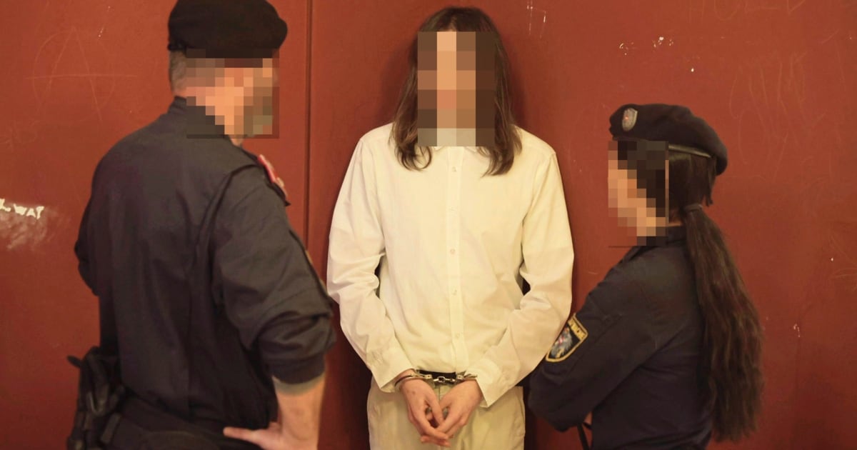 Freispruch vom Mord - Autist stach in Wien auf Fremden ein: Notwehr! | krone.at