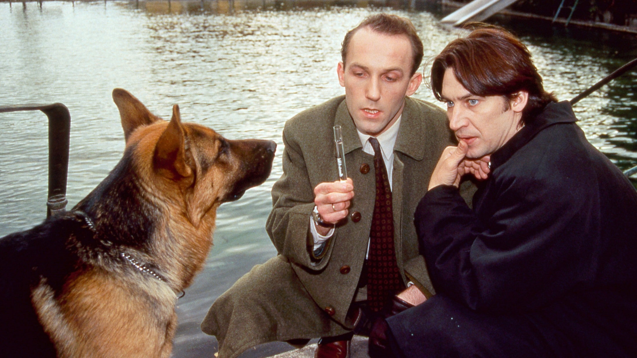 New episodes planned - “Kommissar Rex” celebrates comeback with new ...