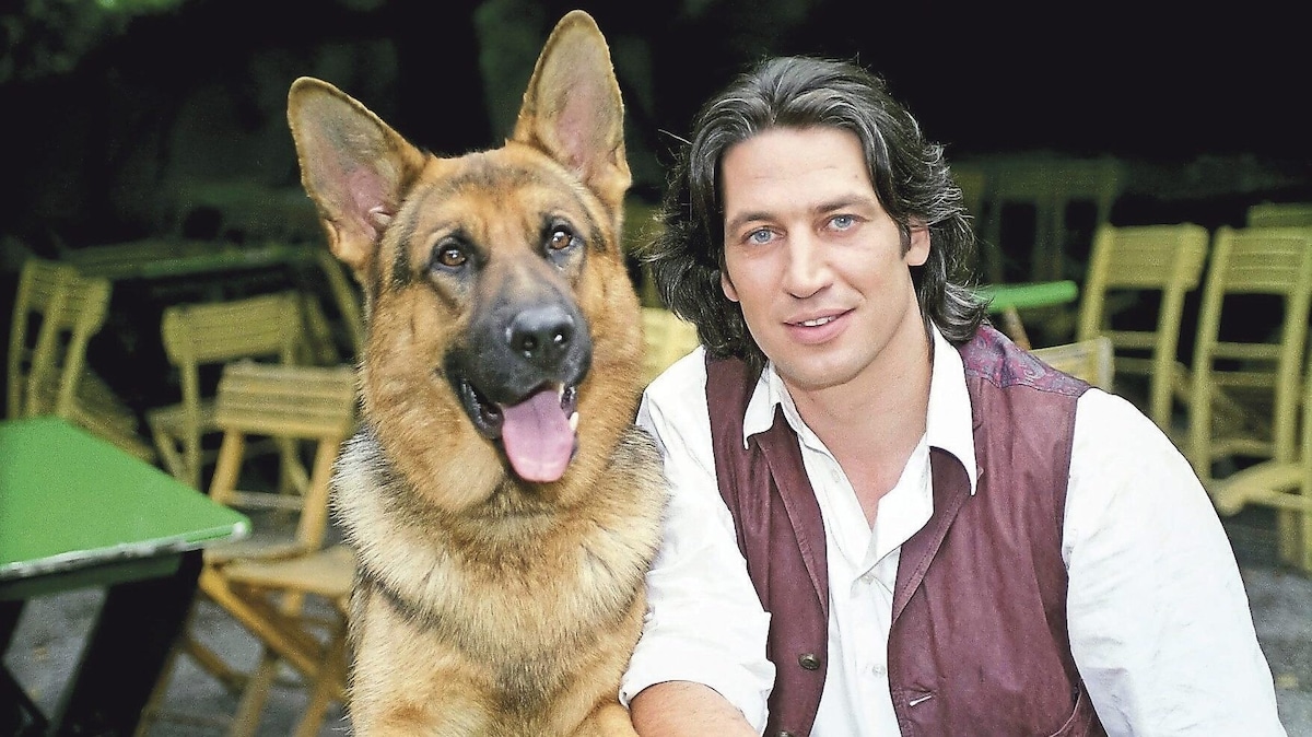 ORF-Kult kehrt zurück! - Kommissar Rex hat wieder zwei neue Herrchen | krone.at