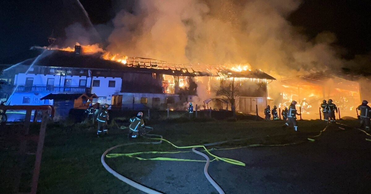 All animals saved - Farm in flames: Major operation! | krone.at
