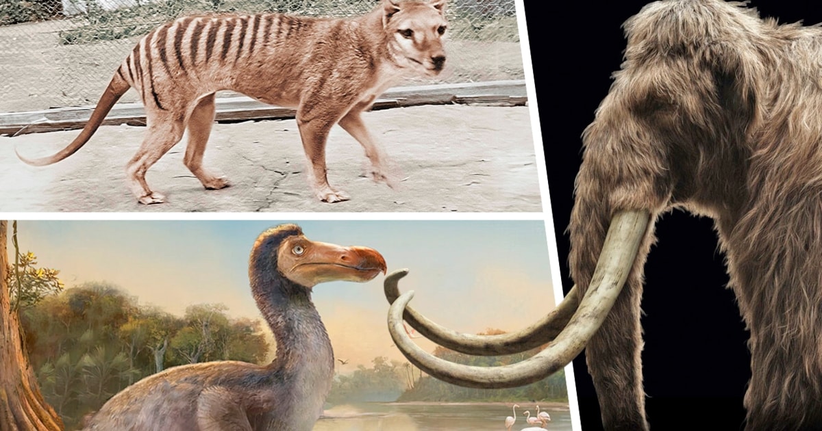 Extinct Animals Images With Names