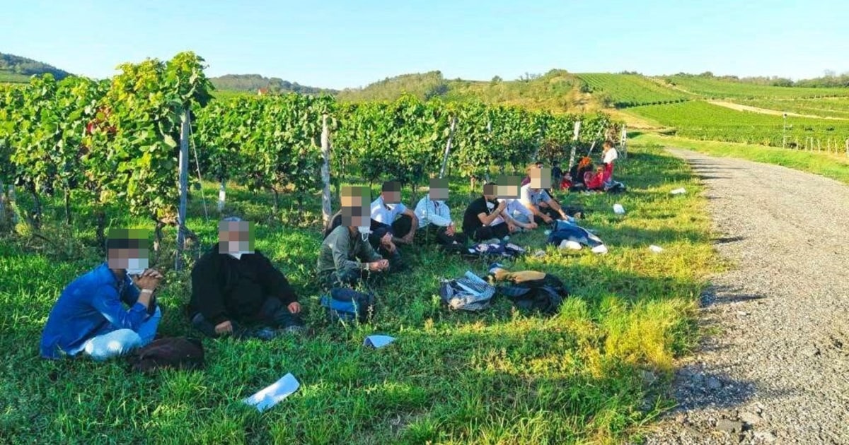 Two smugglers in custody - 368 refugees stopped in seven days | krone.at