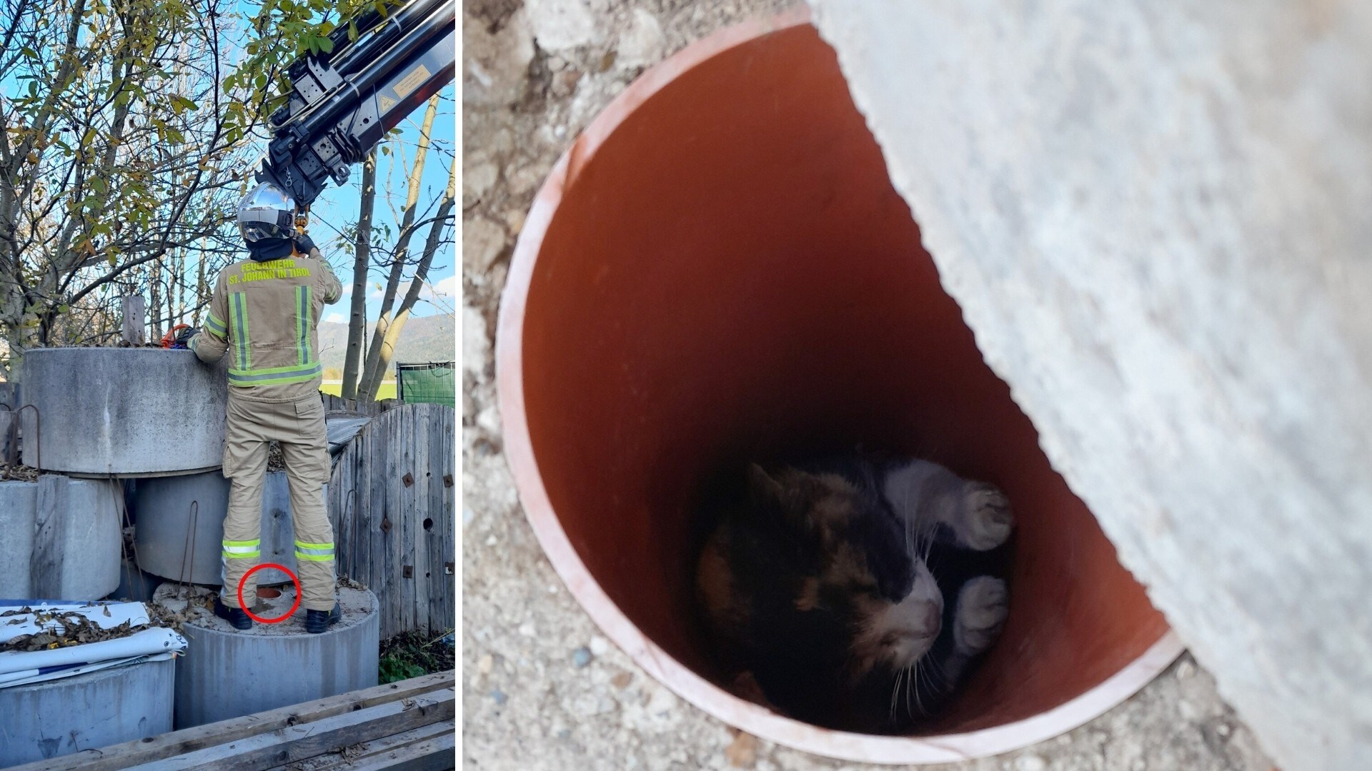Lifted with a crane - Fire department rescues curious cat from plastic ...