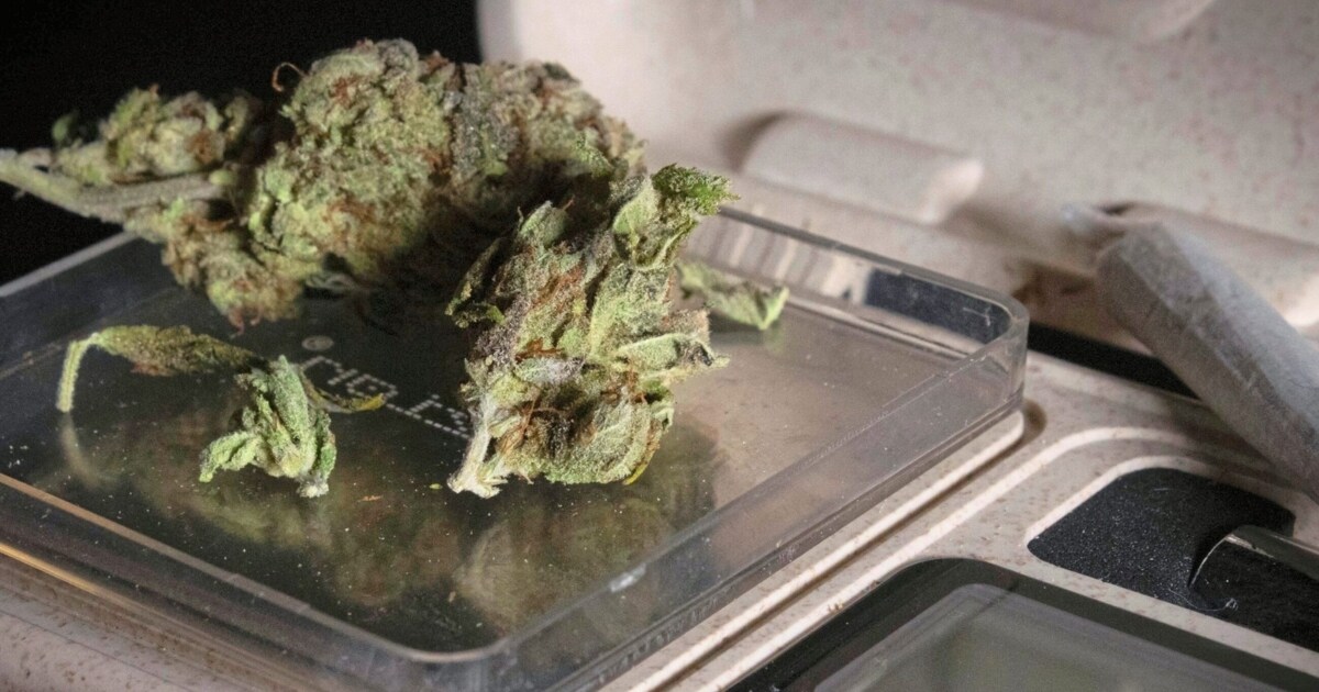 Ungar festgenommen - Polizisten fanden 27 Kilo Cannabis in Kastenwagen ...
