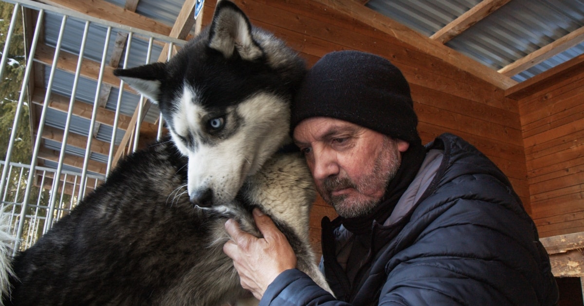 Film „Husky Toni“ - Zwischen Schicksalsschlag und Hoffnungsschimmer ...