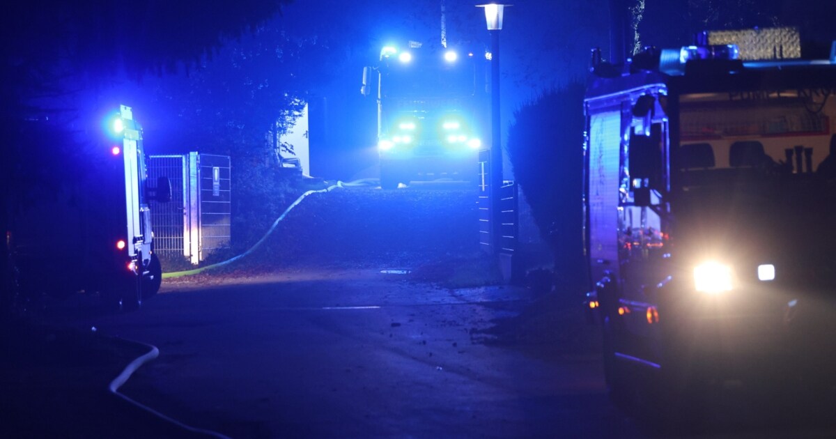 Cause unclear - Six fire departments at mysterious pallet fire | krone.at