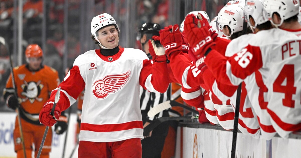 Lead squandered - Kasper scores first NHL goal in Detroit defeat | krone.at