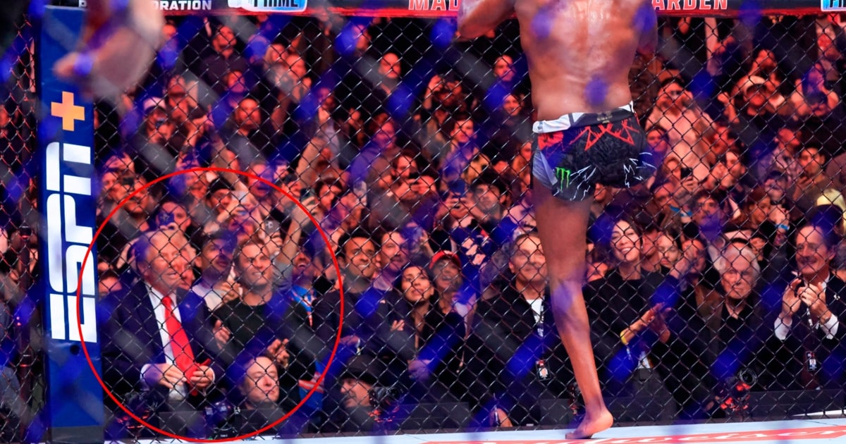 MMA spectacle - Trump and Musk together at UFC fight in New York | krone.at