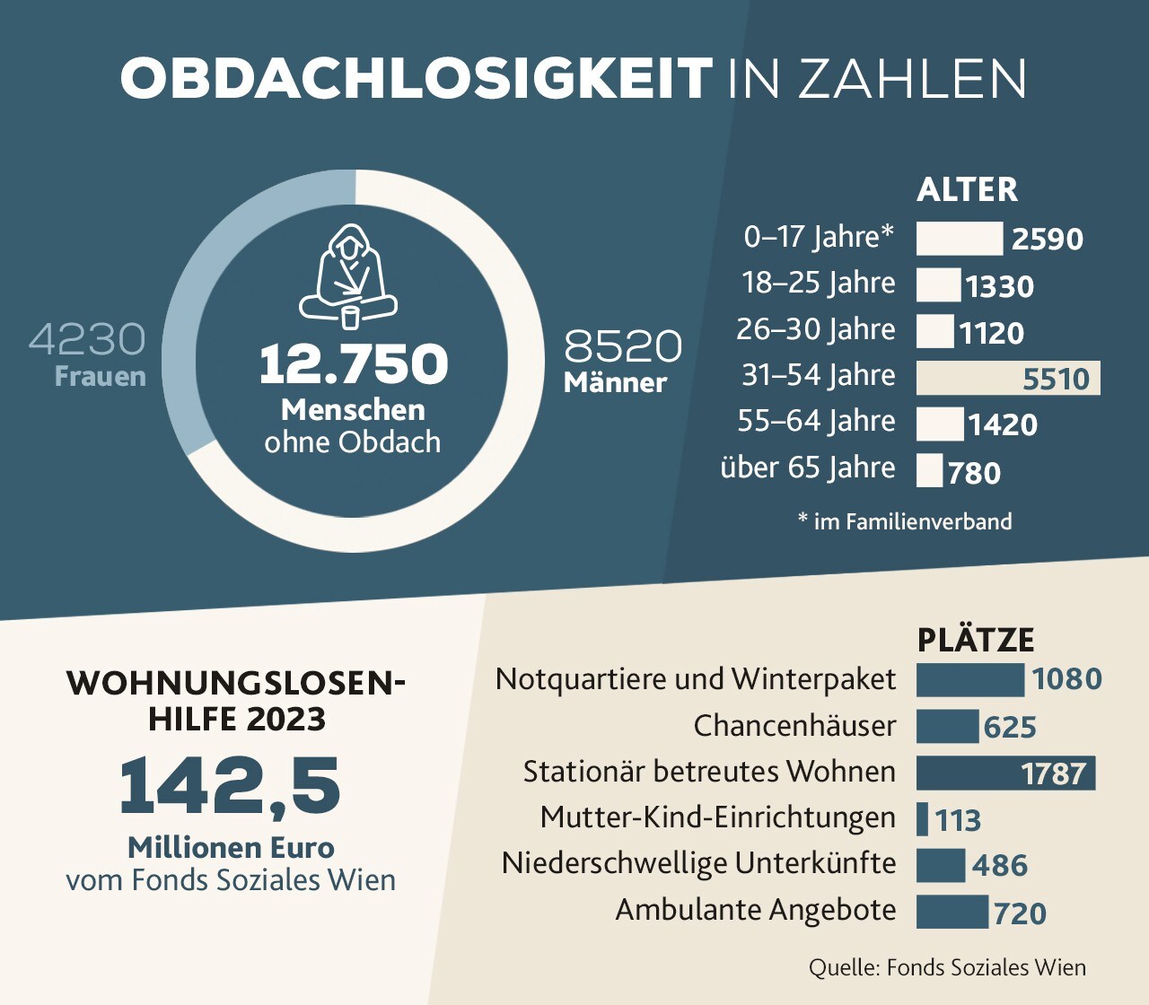 The numbers are rising - Homelessness has many faces in Vienna | krone.at