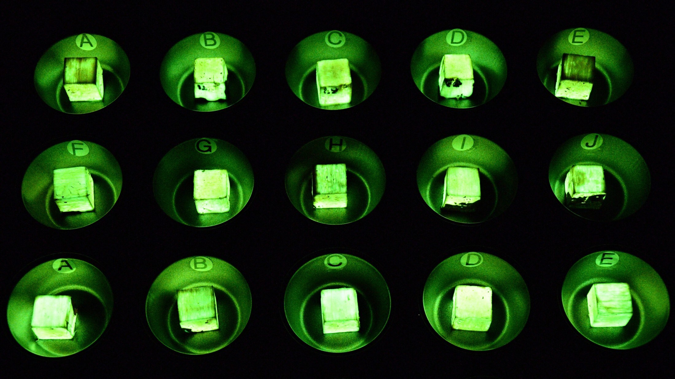 With the help of a fungus: - Swiss researchers make wood glow | krone.at