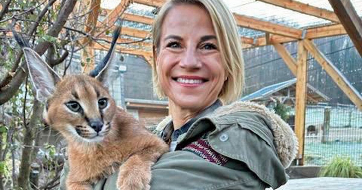 Wild cat rescued! - Kristina Sprenger takes over sponsorship after ...