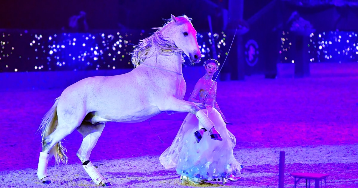 Mega horse sports show - “This event deserves not to die” | krone.at
