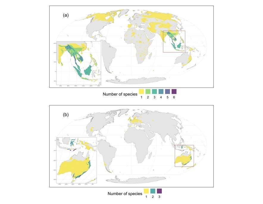 New challenges - Introduced species often threatened in their old ...